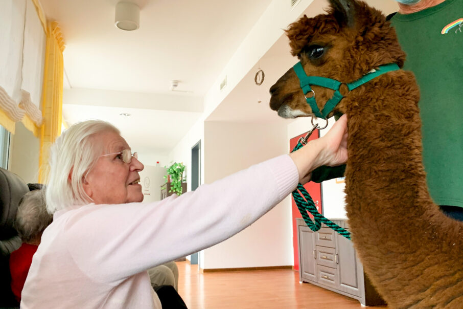 Rainbow Alpakas – Liebe auf den ersten Flausch | Jedermann Gruppe